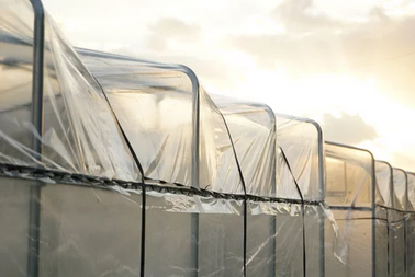 Your One-Stop Shop Hydroponic Supplies in Australia – Hydro Hub