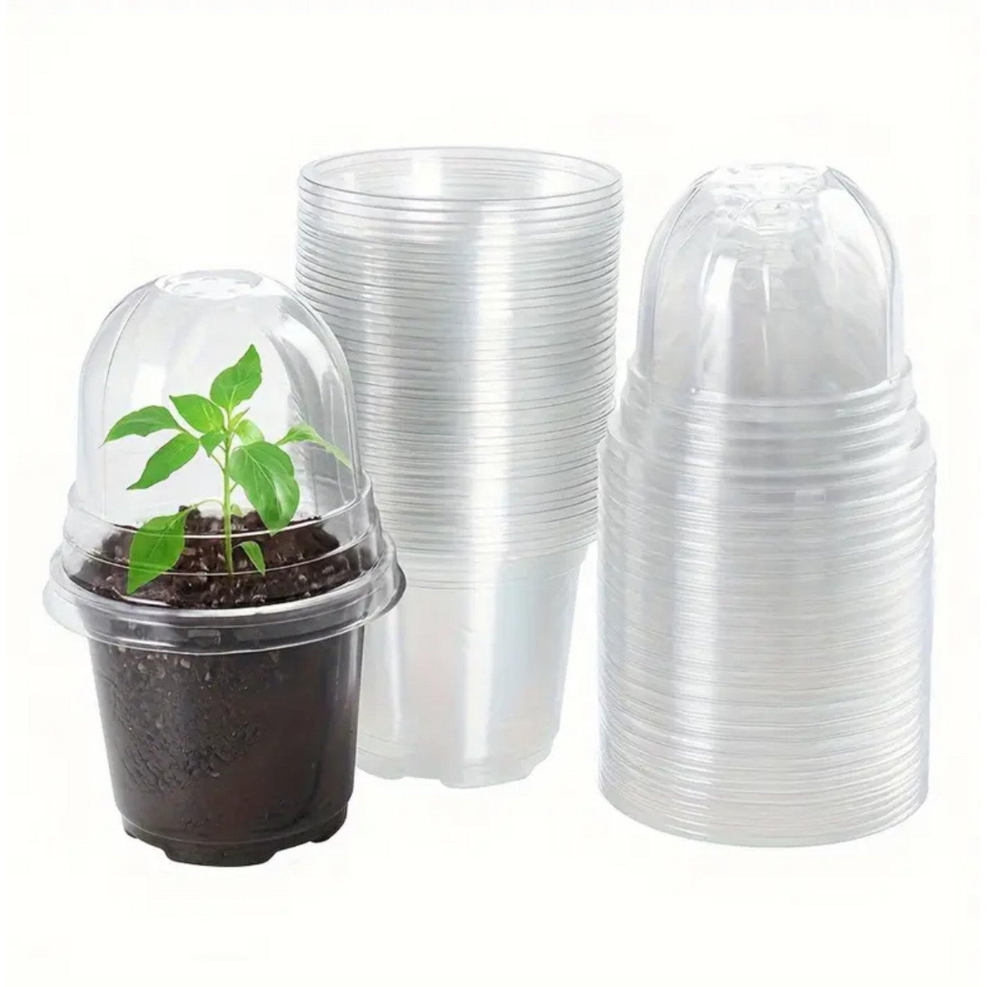 Plastic Propagation Pot w/ Moisture Dome – Hydro Hub