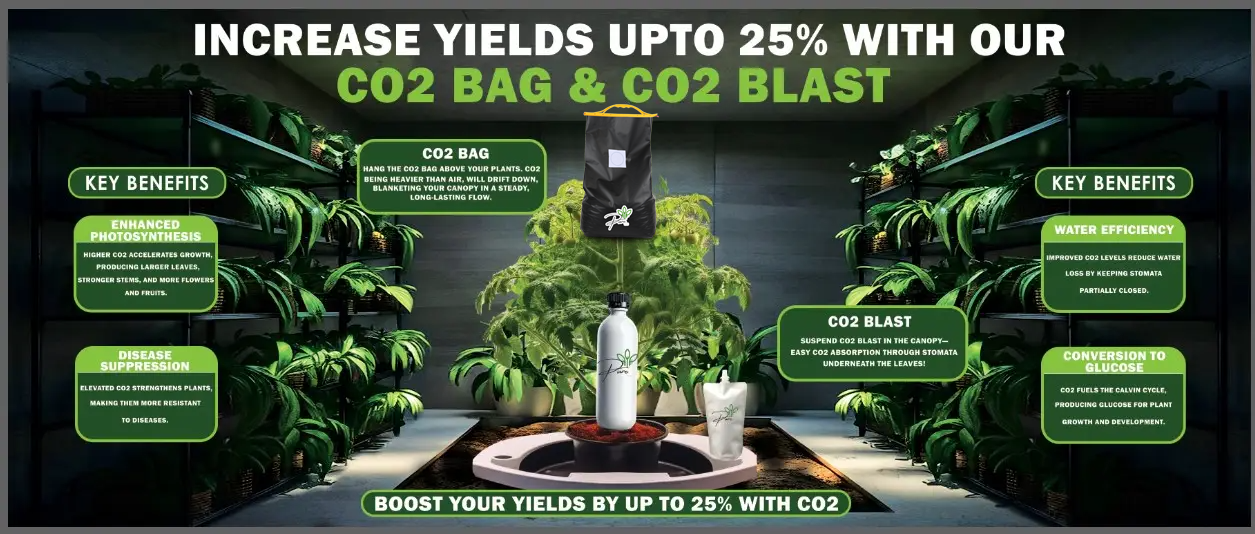 Hydro Hub, Hydroponics Equipment Supplier.