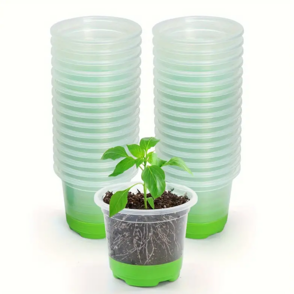 Green Plastic Silicone Bottom Propagation Pot – Hydro Hub
